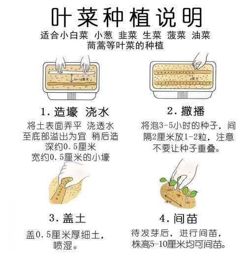 蔬菜种子大全及价格表_哪些品种适合阳台种植-第1张图片-山城妙识