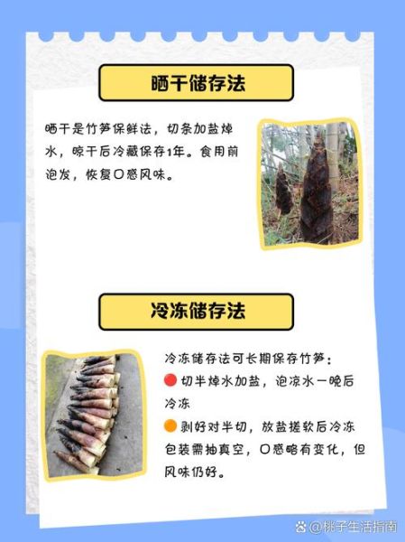 鲜竹笋怎么储存_鲜竹笋保鲜方法-第3张图片-山城妙识 鲜竹笋怎么储存_鲜竹笋保鲜方法-第3张图片-山城妙识