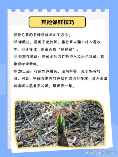 鲜竹笋怎么储存_鲜竹笋保鲜方法-第1张图片-山城妙识 鲜竹笋怎么储存_鲜竹笋保鲜方法-第1张图片-山城妙识