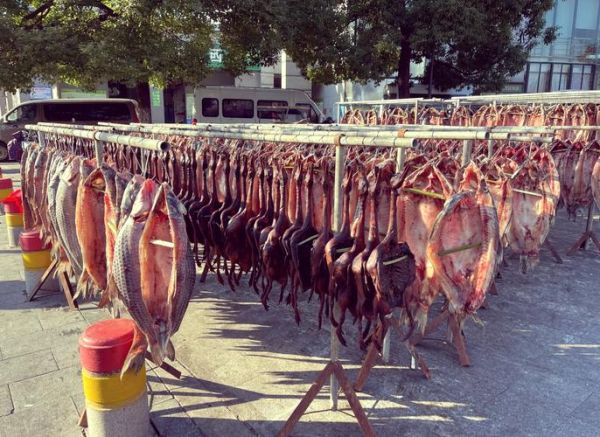 腌晒鱼干怎么做_鱼干怎么晒才好吃-第3张图片-山城妙识