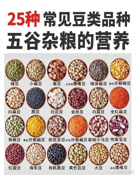 豆类食物有哪些图片_常见豆类品种大全-第1张图片-山城妙识