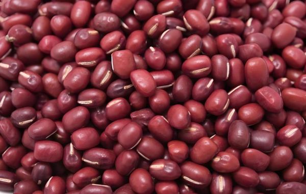 豆类食物有哪些图片_常见豆类品种大全-第3张图片-山城妙识