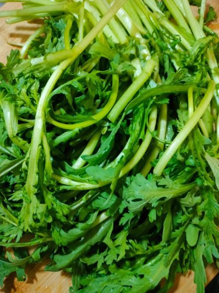 茼蒿蒸菜怎么做不黄又入味_蒸茼蒿菜需要焯水吗-第2张图片-山城妙识 茼蒿蒸菜怎么做不黄又入味_蒸茼蒿菜需要焯水吗-第2张图片-山城妙识