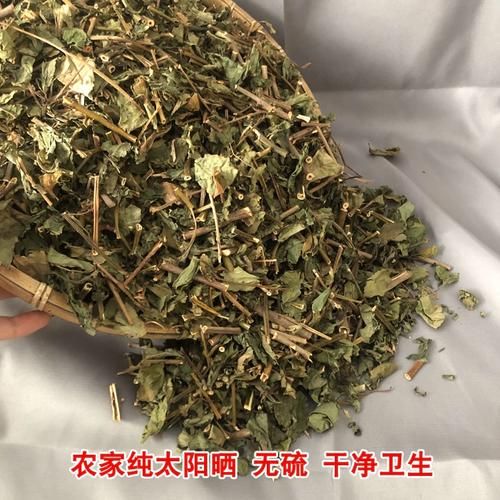 鲫鱼胆草长什么样_鲫鱼胆草和龙胆草区别-第1张图片-山城妙识 鲫鱼胆草长什么样_鲫鱼胆草和龙胆草区别-第1张图片-山城妙识