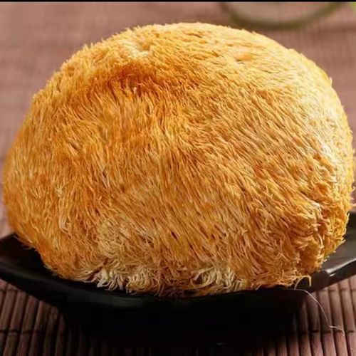 野生猴头菇长什么样_如何辨别真假野生猴头菇-第3张图片-山城妙识 野生猴头菇长什么样_如何辨别真假野生猴头菇-第3张图片-山城妙识