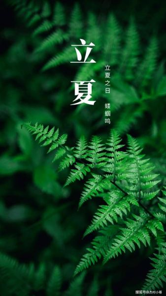 立夏图片大全_立夏节气图片怎么找-第3张图片-山城妙识 立夏图片大全_立夏节气图片怎么找-第3张图片-山城妙识