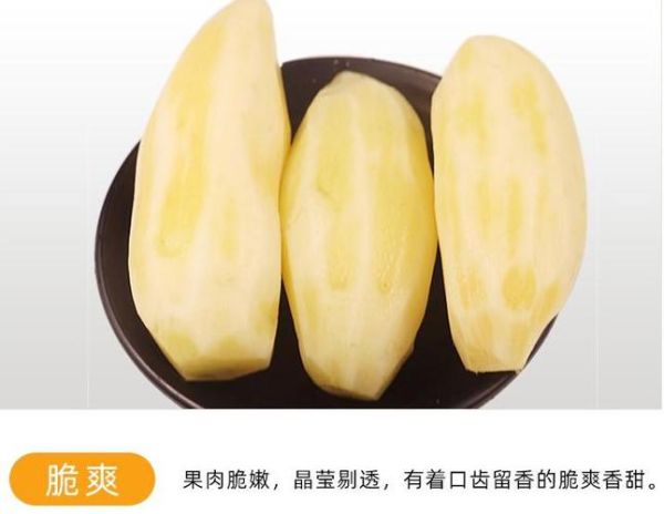 雪莲果吃死人是真的吗_雪莲果中毒症状-第3张图片-山城妙识 雪莲果吃死人是真的吗_雪莲果中毒症状-第3张图片-山城妙识