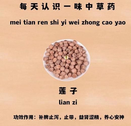 莲子产地哪里最正宗_莲子产地排行榜-第2张图片-山城妙识