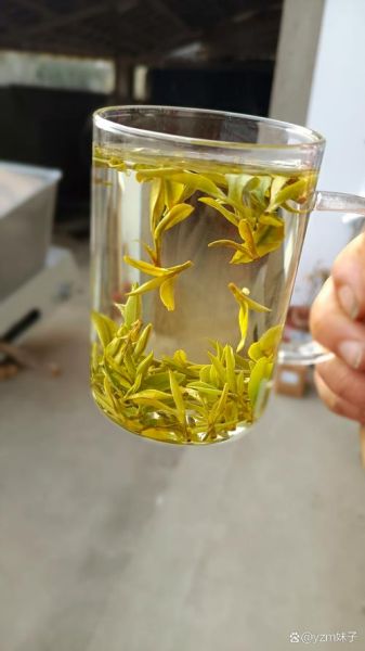 黄山毛峰图片怎么拍_黄山毛峰长什么样-第3张图片-山城妙识