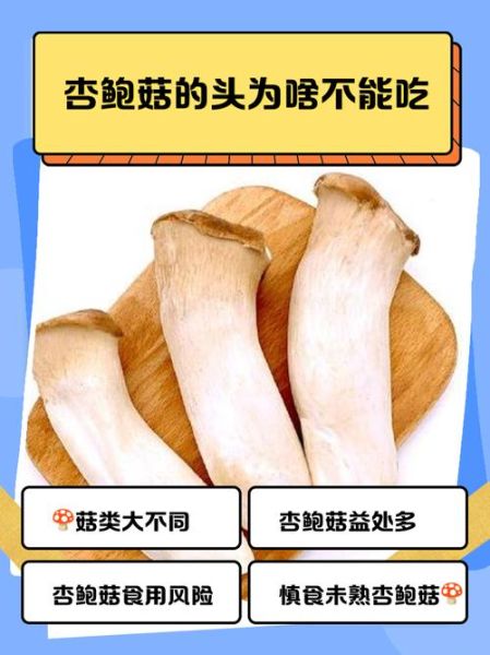 鲍鱼菇和杏鲍菇一样吗_区别与营养价值对比-第2张图片-山城妙识