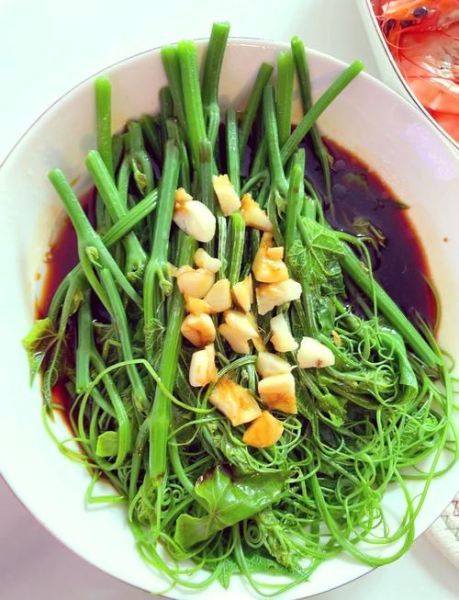 龙须菜图片大全_龙须菜怎么做好吃-第1张图片-山城妙识