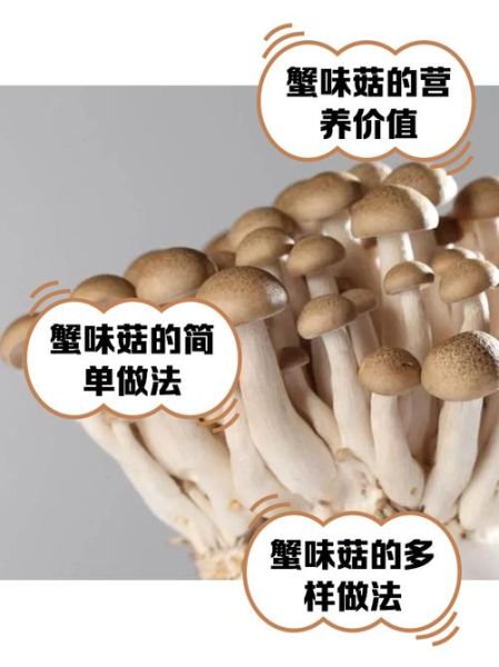 蟹味菇不能和什么一起吃_蟹味菇搭配禁忌有哪些-第1张图片-山城妙识 蟹味菇不能和什么一起吃_蟹味菇搭配禁忌有哪些-第1张图片-山城妙识