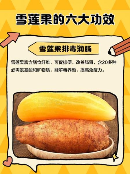 雪莲果的功效与作用_雪莲果的营养价值有哪些-第1张图片-山城妙识