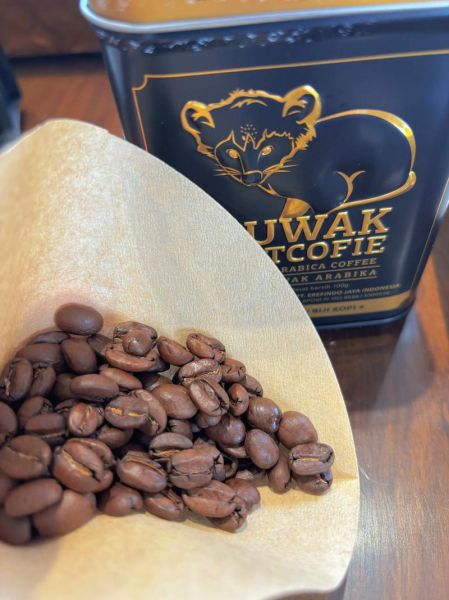 麝香猫咖啡是什么_麝香猫咖啡多少钱一斤-第2张图片-山城妙识 麝香猫咖啡是什么_麝香猫咖啡多少钱一斤-第2张图片-山城妙识