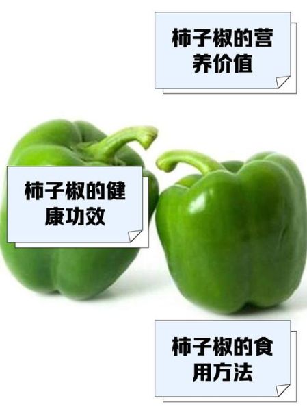 柿子椒怎么保存_柿子椒可以冷冻吗-第1张图片-山城妙识 柿子椒怎么保存_柿子椒可以冷冻吗-第1张图片-山城妙识