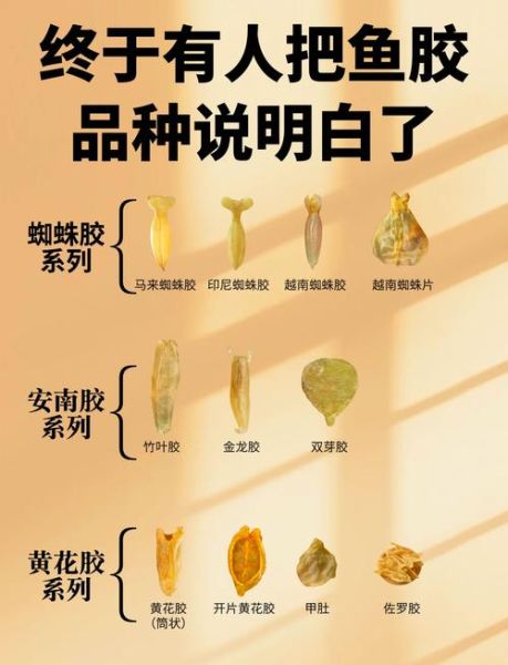 鱼胶哪种好_鱼胶品种怎么选-第1张图片-山城妙识 鱼胶哪种好_鱼胶品种怎么选-第1张图片-山城妙识