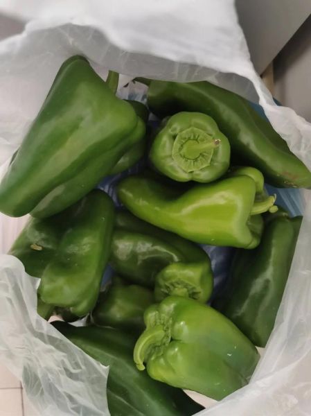 柿子椒怎么保存_柿子椒可以冷冻吗-第2张图片-山城妙识 柿子椒怎么保存_柿子椒可以冷冻吗-第2张图片-山城妙识