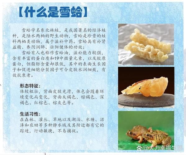 雪蛤的副作用有哪些_雪蛤禁忌人群有哪些-第2张图片-山城妙识 雪蛤的副作用有哪些_雪蛤禁忌人群有哪些-第2张图片-山城妙识