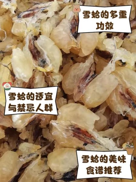 雪蛤的副作用有哪些_雪蛤禁忌人群有哪些-第1张图片-山城妙识 雪蛤的副作用有哪些_雪蛤禁忌人群有哪些-第1张图片-山城妙识