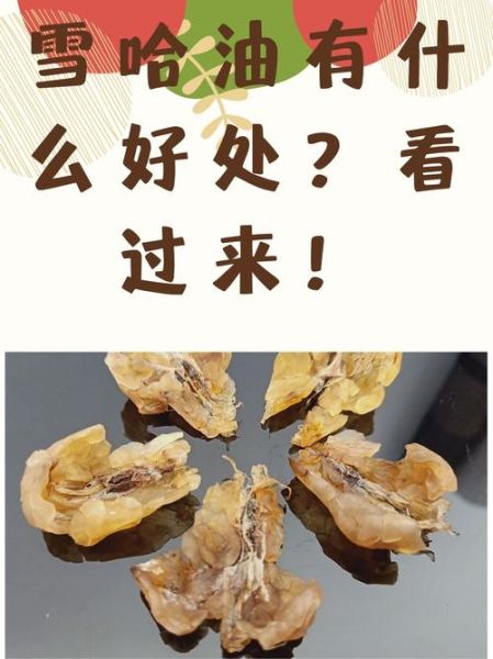雪蛤的副作用有哪些_雪蛤禁忌人群有哪些-第3张图片-山城妙识 雪蛤的副作用有哪些_雪蛤禁忌人群有哪些-第3张图片-山城妙识