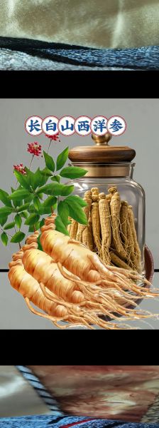西洋参图片真假鉴别_西洋参功效与作用怎么吃-第3张图片-山城妙识 西洋参图片真假鉴别_西洋参功效与作用怎么吃-第3张图片-山城妙识