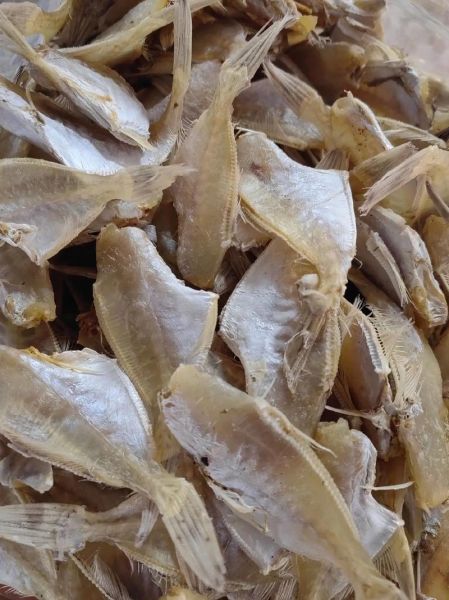 鱼干怎么晒_鱼干晒多久才能吃-第2张图片-山城妙识 鱼干怎么晒_鱼干晒多久才能吃-第2张图片-山城妙识