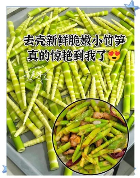 小竹笋的功效与作用_小竹笋的禁忌有哪些-第2张图片-山城妙识 小竹笋的功效与作用_小竹笋的禁忌有哪些-第2张图片-山城妙识