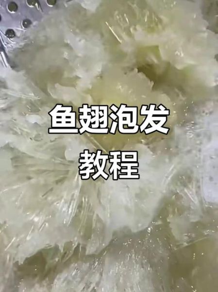 鱼翅怎么泡发_鱼翅的家常做法步骤-第2张图片-山城妙识 鱼翅怎么泡发_鱼翅的家常做法步骤-第2张图片-山城妙识