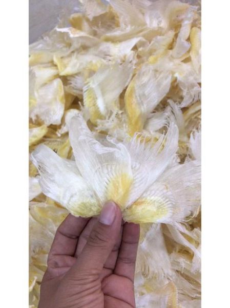 鱼翅怎么泡发_鱼翅的家常做法步骤-第3张图片-山城妙识 鱼翅怎么泡发_鱼翅的家常做法步骤-第3张图片-山城妙识