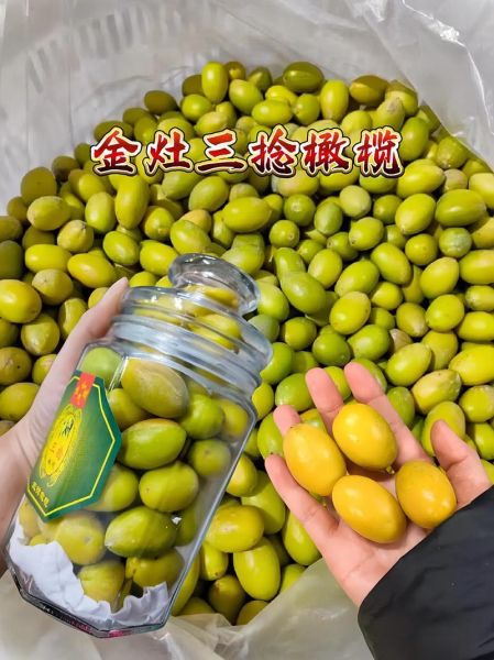 金玉三捻橄榄价格多少钱一斤_金玉三捻橄榄为什么这么贵-第3张图片-山城妙识 金玉三捻橄榄价格多少钱一斤_金玉三捻橄榄为什么这么贵-第3张图片-山城妙识