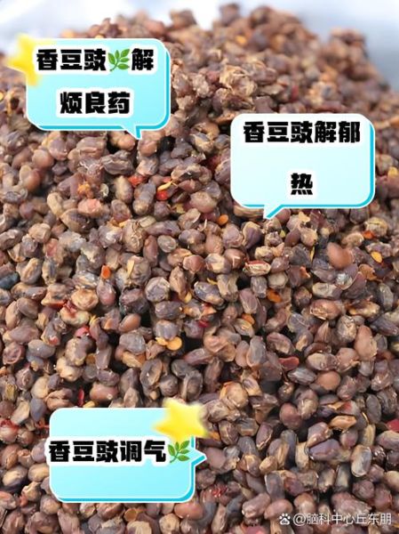 豆豉怎么读_豆豉的功效与作用-第2张图片-山城妙识 豆豉怎么读_豆豉的功效与作用-第2张图片-山城妙识