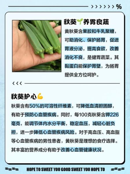 黄秋葵可以生吃吗_生吃黄秋葵安全吗-第2张图片-山城妙识 黄秋葵可以生吃吗_生吃黄秋葵安全吗-第2张图片-山城妙识