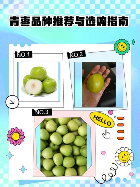 青枣怎么挑选_青枣和红枣的区别-第1张图片-山城妙识 青枣怎么挑选_青枣和红枣的区别-第1张图片-山城妙识