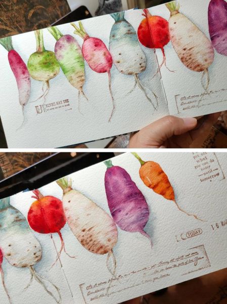 萝卜开会是什么_萝卜开会怎么用-第1张图片-山城妙识 萝卜开会是什么_萝卜开会怎么用-第1张图片-山城妙识