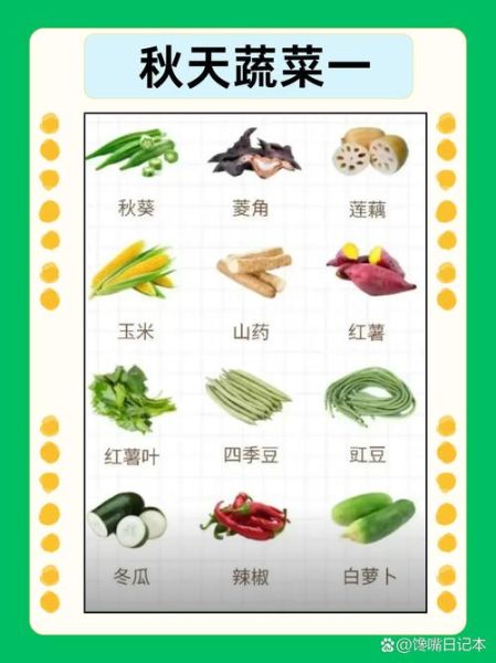 秋季吃什么菜好_秋天适合吃什么蔬菜-第2张图片-山城妙识 秋季吃什么菜好_秋天适合吃什么蔬菜-第2张图片-山城妙识