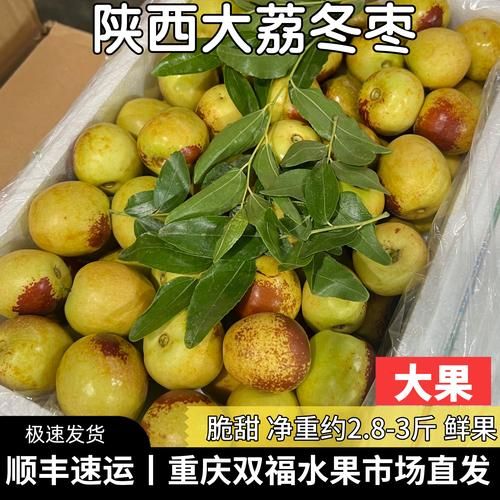 青枣怎么挑选_青枣和红枣的区别-第3张图片-山城妙识 青枣怎么挑选_青枣和红枣的区别-第3张图片-山城妙识