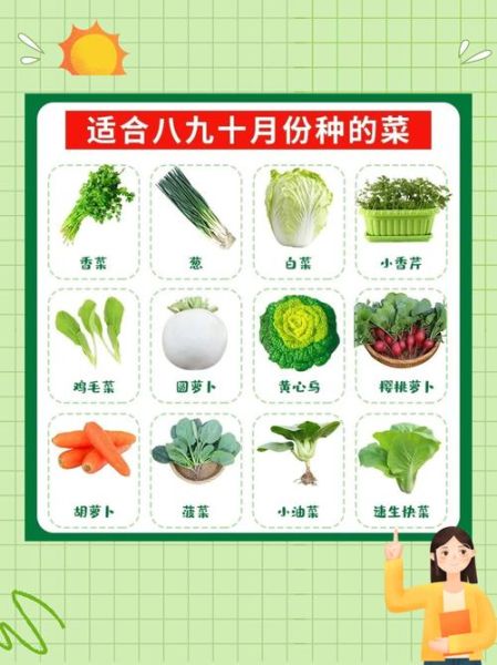 秋季吃什么菜好_秋天适合吃什么蔬菜-第3张图片-山城妙识 秋季吃什么菜好_秋天适合吃什么蔬菜-第3张图片-山城妙识