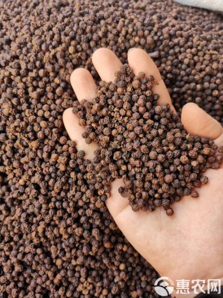黑胡椒多少钱一斤_黑胡椒价格为何波动大-第3张图片-山城妙识 黑胡椒多少钱一斤_黑胡椒价格为何波动大-第3张图片-山城妙识