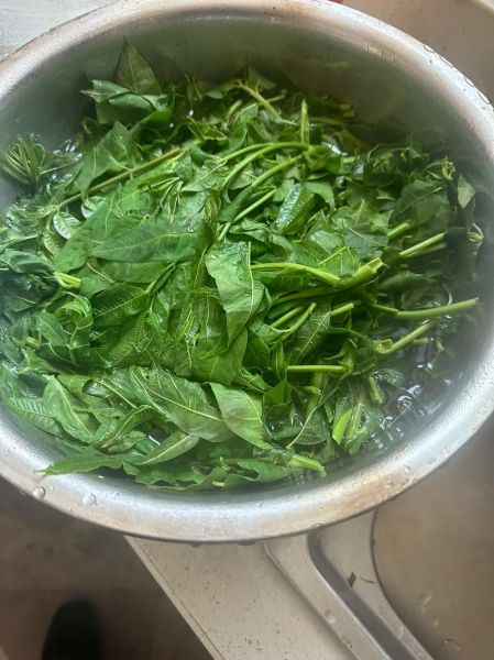 香椿饺子馅怎么做_香椿饺子馅的做法大全-第2张图片-山城妙识 香椿饺子馅怎么做_香椿饺子馅的做法大全-第2张图片-山城妙识