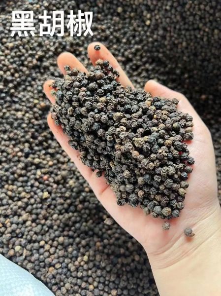 黑胡椒多少钱一斤_黑胡椒价格为何波动大-第1张图片-山城妙识 黑胡椒多少钱一斤_黑胡椒价格为何波动大-第1张图片-山城妙识