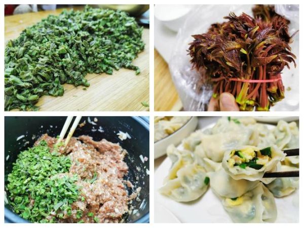香椿饺子馅怎么做_香椿饺子馅的做法大全-第1张图片-山城妙识 香椿饺子馅怎么做_香椿饺子馅的做法大全-第1张图片-山城妙识