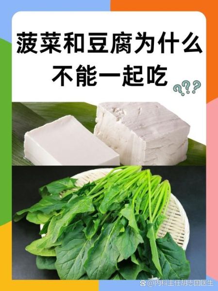 大豆腐和菠菜能一起吃吗_菠菜豆腐同食禁忌-第1张图片-山城妙识