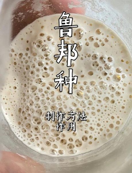 面包怎么做才松软_如何让面包更柔软-第1张图片-山城妙识 面包怎么做才松软_如何让面包更柔软-第1张图片-山城妙识