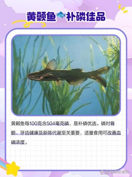 黄颡鱼吃什么_黄颡鱼最爱吃的饵料-第2张图片-山城妙识 黄颡鱼吃什么_黄颡鱼最爱吃的饵料-第2张图片-山城妙识