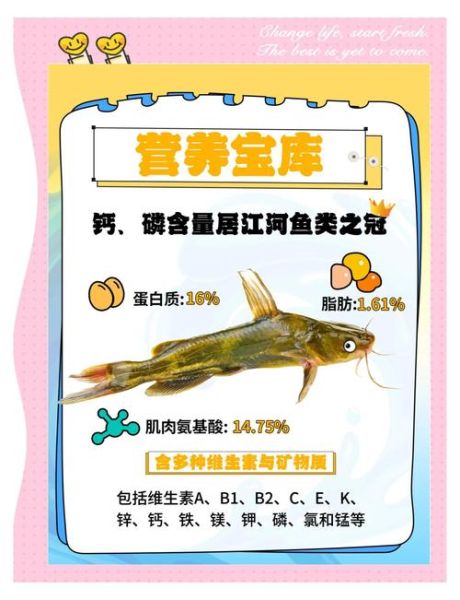 黄颡鱼吃什么_黄颡鱼最爱吃的饵料-第1张图片-山城妙识 黄颡鱼吃什么_黄颡鱼最爱吃的饵料-第1张图片-山城妙识