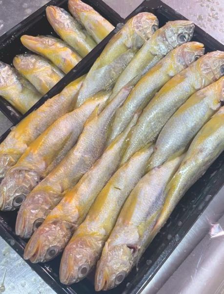 黄花鱼是海鱼还是河鱼_黄花鱼产地在哪里-第1张图片-山城妙识 黄花鱼是海鱼还是河鱼_黄花鱼产地在哪里-第1张图片-山城妙识