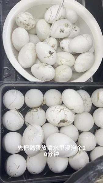 腌鹅蛋的方法_腌鹅蛋的步骤窍门-第1张图片-山城妙识 腌鹅蛋的方法_腌鹅蛋的步骤窍门-第1张图片-山城妙识