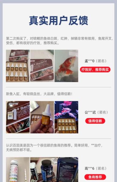 锦鲤鱼烂身用什么药最好_锦鲤鱼烂身烂尾怎么治疗-第2张图片-山城妙识