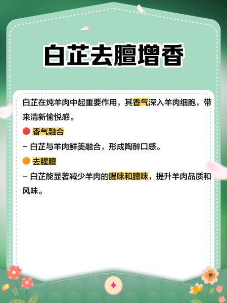 炖羊肉放什么调料去膻_炖羊肉不能少的四种调料-第3张图片-山城妙识 炖羊肉放什么调料去膻_炖羊肉不能少的四种调料-第3张图片-山城妙识