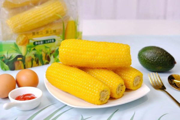 鲜玉米棒批发多少钱一斤_鲜玉米棒批发哪里便宜-第1张图片-山城妙识 鲜玉米棒批发多少钱一斤_鲜玉米棒批发哪里便宜-第1张图片-山城妙识